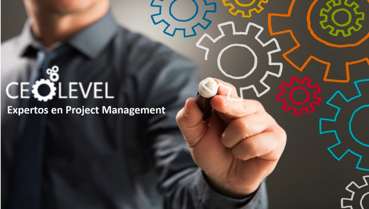 Nuevo Lanzamiento del Curso Online PM2 - CEOLEVEL